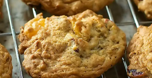 Garbage Cookies - A Recipe That Contains Everything But The Kitchen ...